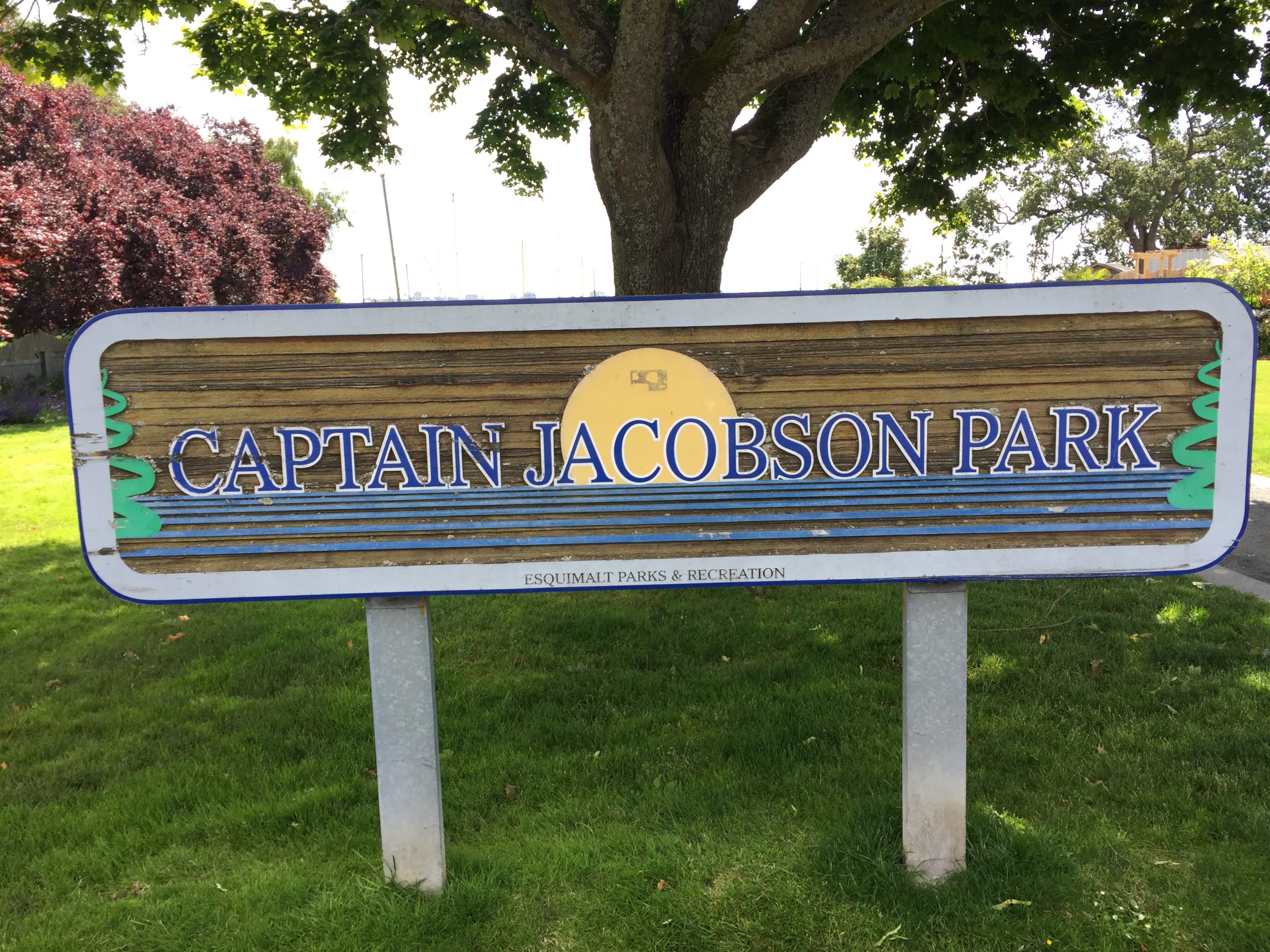 Walkies Park Signs I