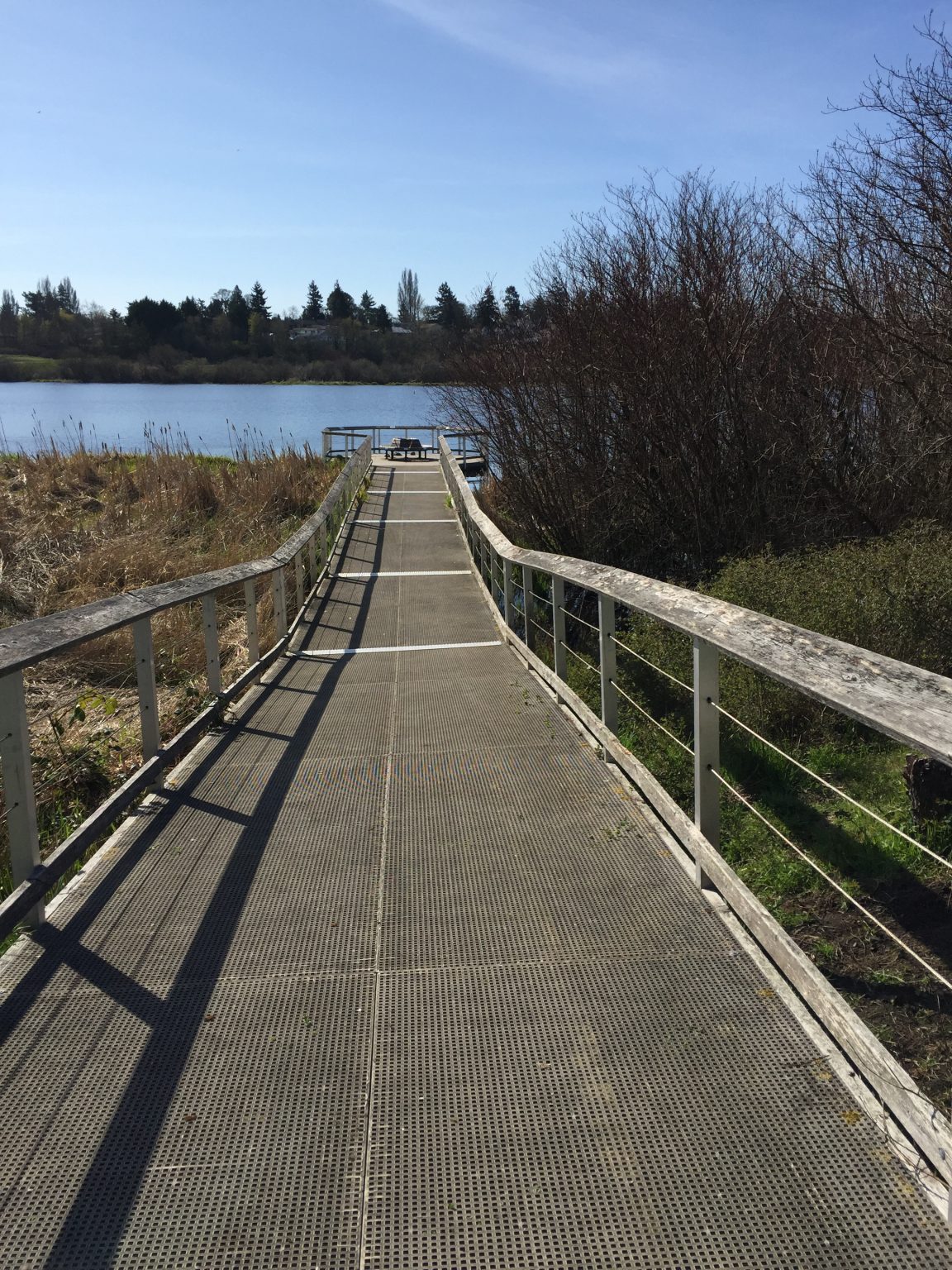 Swan Lake Nature Preserve