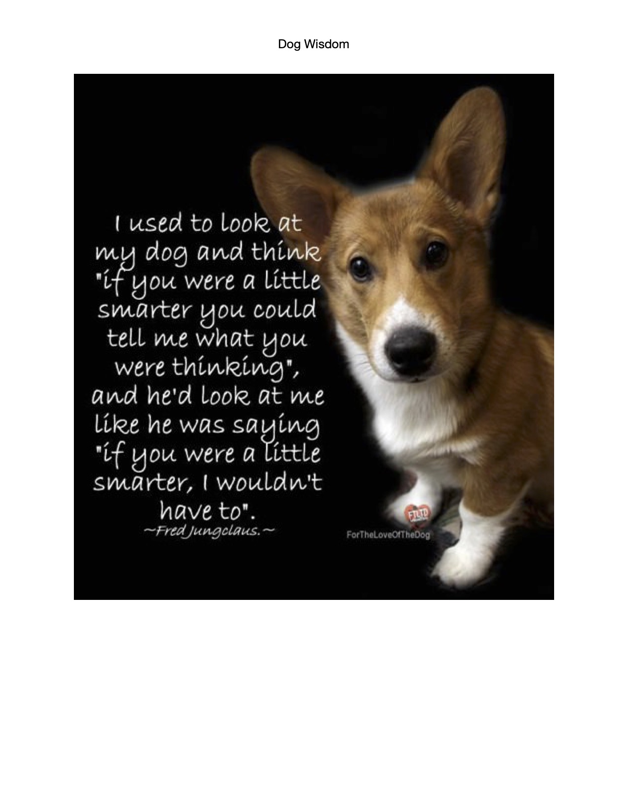 Wisdom from Dogs